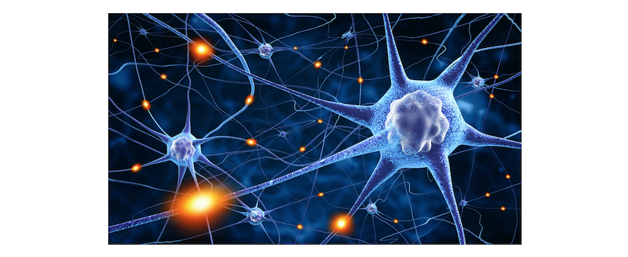 Why Do People Have Seizures? Educational Resources K12 Learning, Life ...