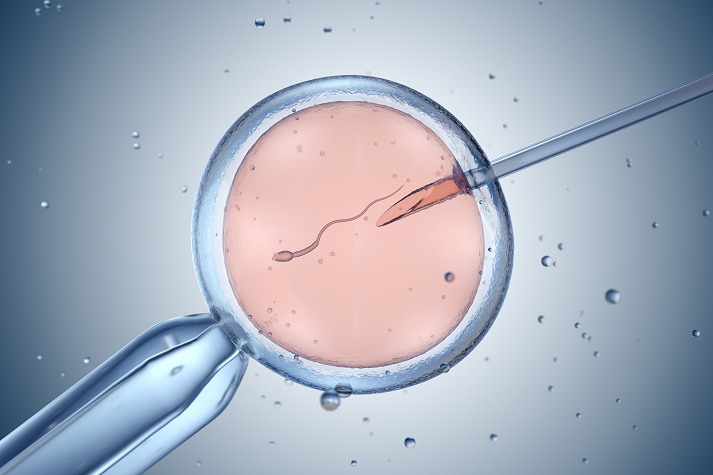 Basics of Human Reproduction Educational Resources K12 Learning, Life ...