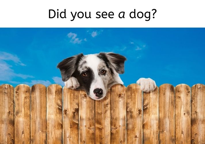 A, An, The: Does It Really Matter Which One? Educational Resources K12 ...