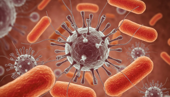 Know Your Enemy: Bacteria vs. Viruses Educational Resources K12 ...