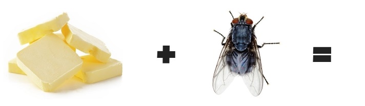 Compound Word Review Educational Resources K12 Learning, Grammar ...