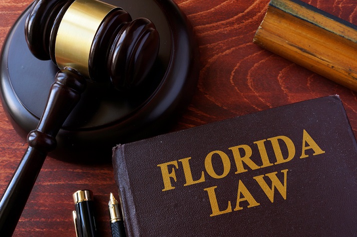 From Laws to Leaders: Inside a U.S. State Educational Resources K12 ...