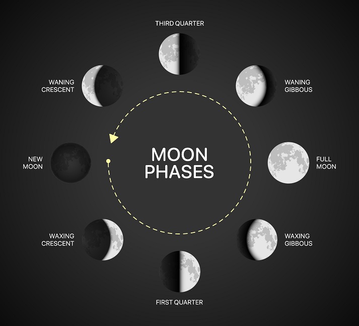 Discover the Phases of the Moon Educational Resources K12 Learning ...