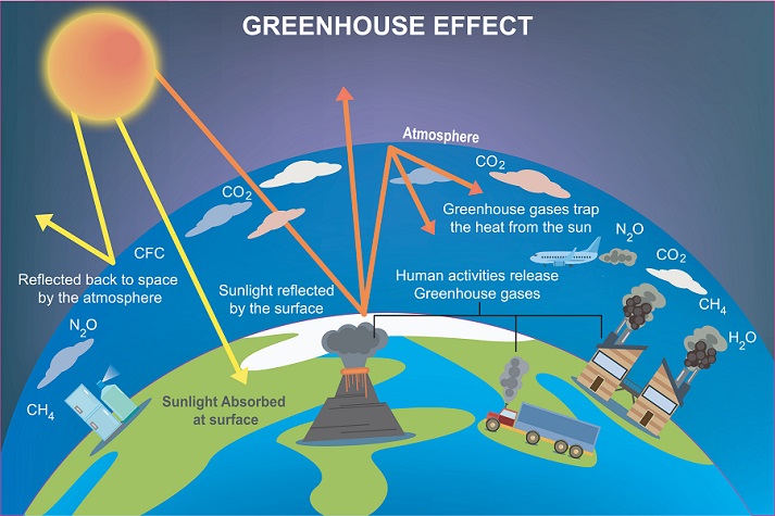 Climate Change: What’s Really Going On? Educational Resources K12 ...