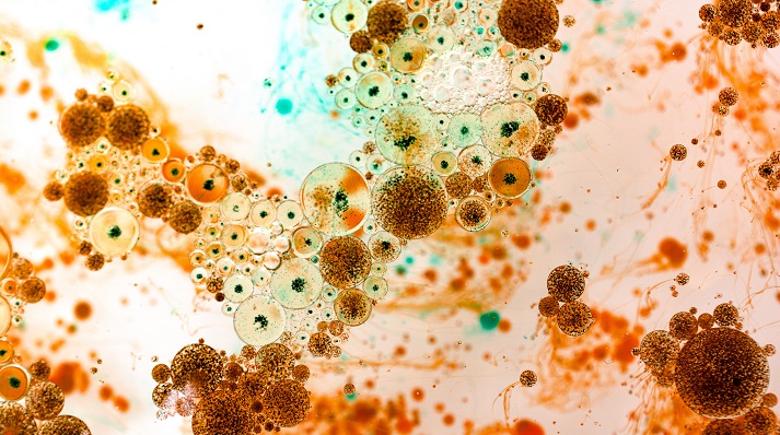 Microbe Showdown: Virus vs. Bacteria Educational Resources K12 Learning ...