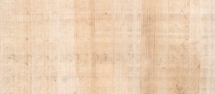 The Story of Ancient Paper Educational Resources K12 Learning, World ...