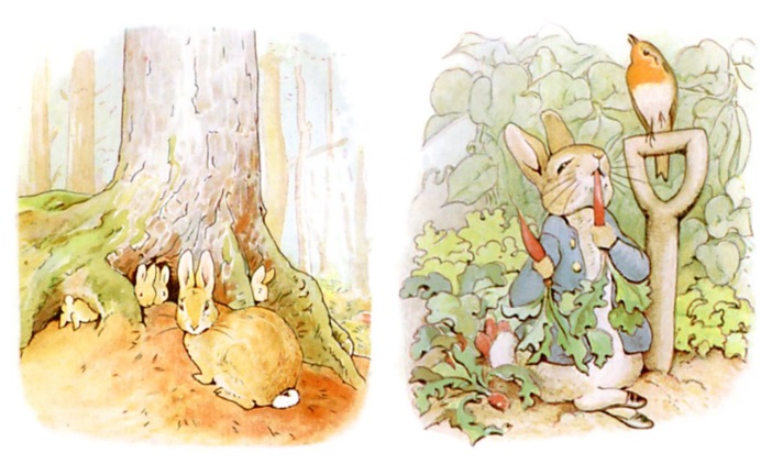 Hop Into the Setting With Peter Rabbit! Educational Resources K12 ...