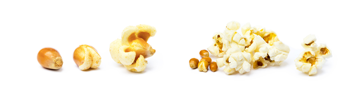 Popcorn, Pressure, and Powerful Ideas Educational Resources K12 ...