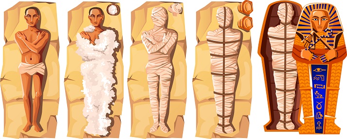 Mummification: Unwrapped! Educational Resources K12 Learning, World ...
