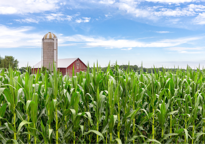 Getting to Know the U.S. Midwest Region Educational Resources K12 ...