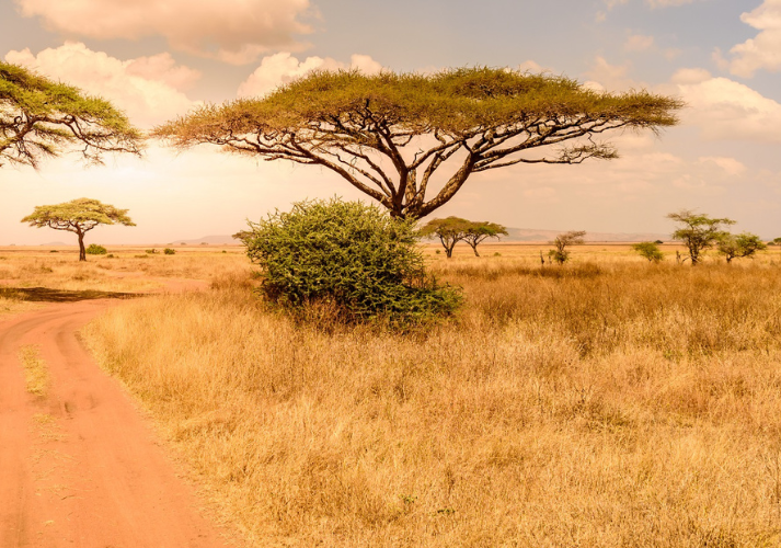 Geography of the Amazon Rainforest Educational Resources K12 Learning ...