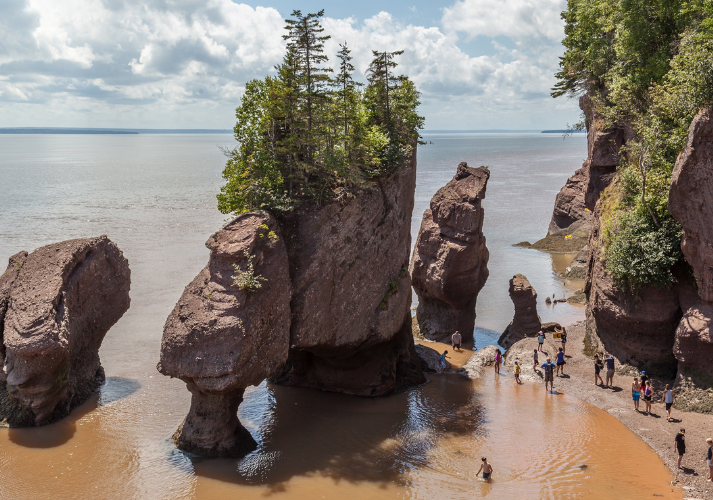 Observe the Moon and the Tides Educational Resources K12 Learning ...